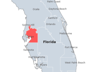 Tampa VoIP & Internet | Tampa FL Phone Numbers & Area Codes