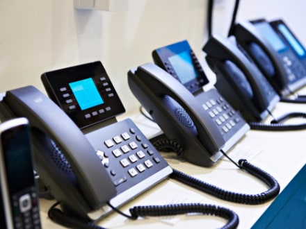 Tampa FL Phone Numbers & Area Codes: Business & VoIP Services