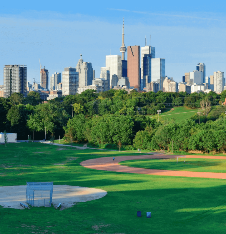 Area Code 504 Phone Numbers & New Orleans Business Internet